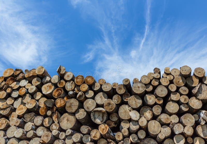 Madera apilada imagen de archivo. Imagen de tajada, pino - 97074173
