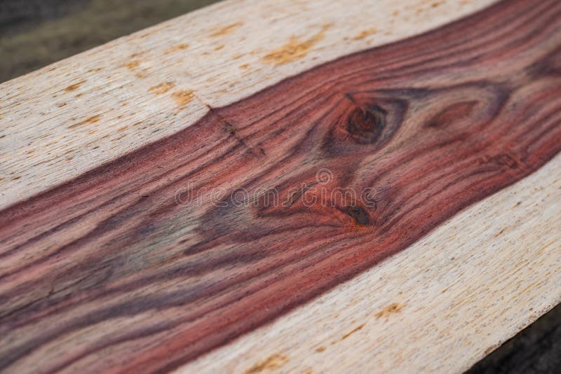 Madera De Palisandro Natural Imagen de archivo - Imagen de siamés ...