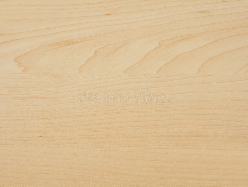 Madera de olmo americano foto de archivo. Imagen de detalle - 6286772