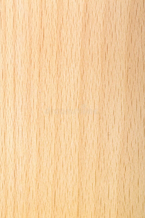 Chapa Natural De Madera Del Arce Imagen de archivo - Imagen de rebanada ...