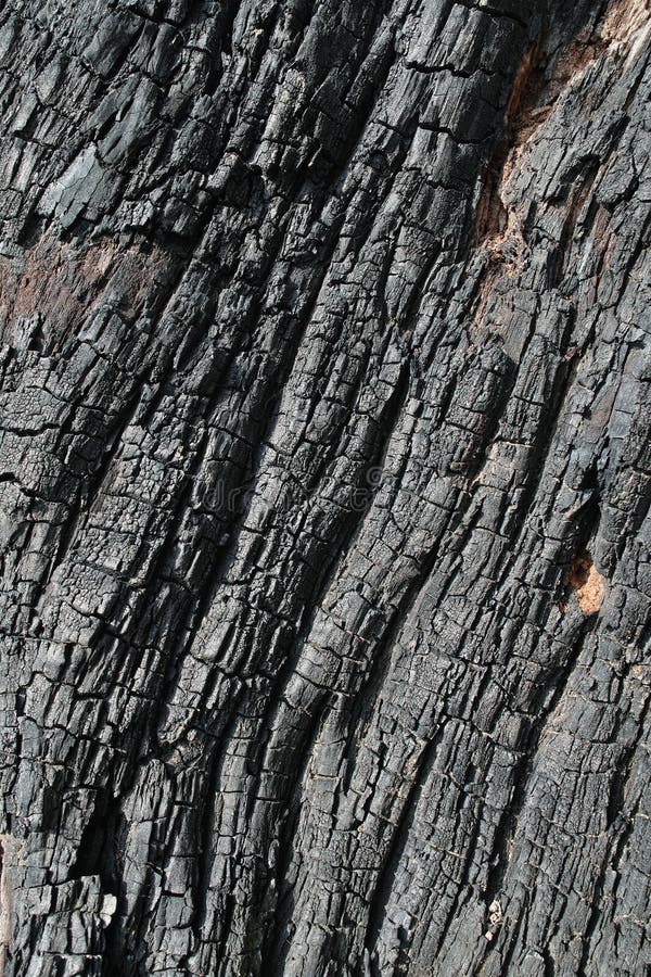 Madera quemada foto de archivo. Imagen de textura, fuego - 34913582