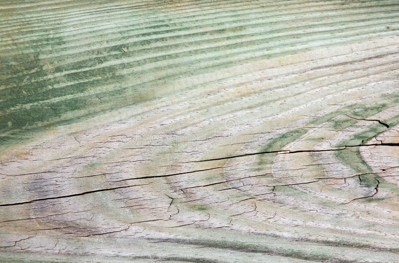 Madera verde foto de archivo. Imagen de verde, grano, textura - 4556698
