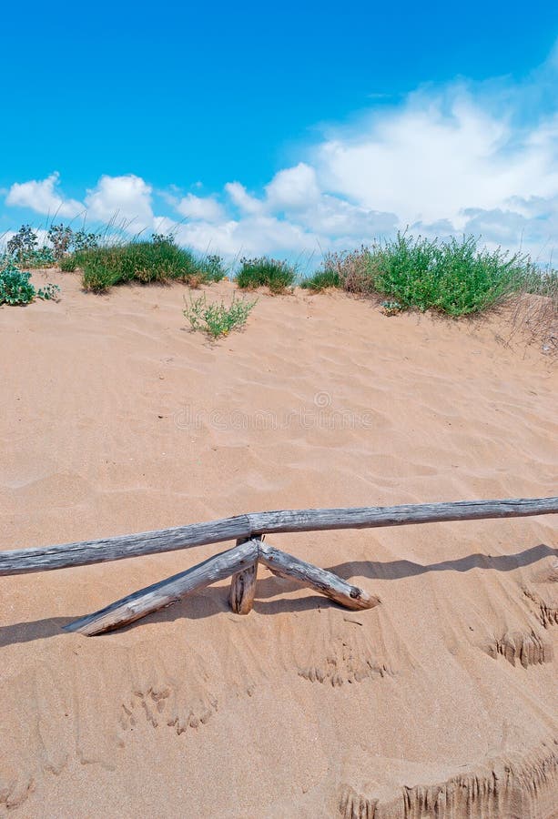 Madera y duna imagen de archivo. Imagen de exterior, paisaje - 32754405