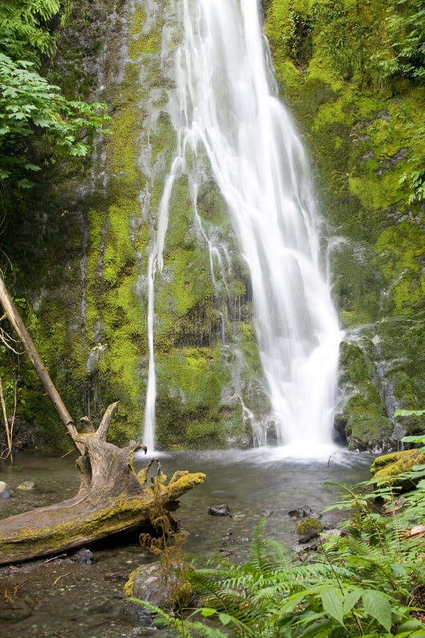 Madison Falls stock photo. Image of rocks, outdoors, environment - 6210826