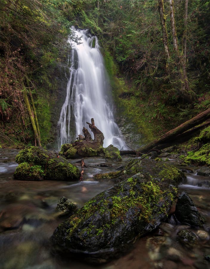 Madison Falls, Washington State Immagine Stock - Immagine di washington ...