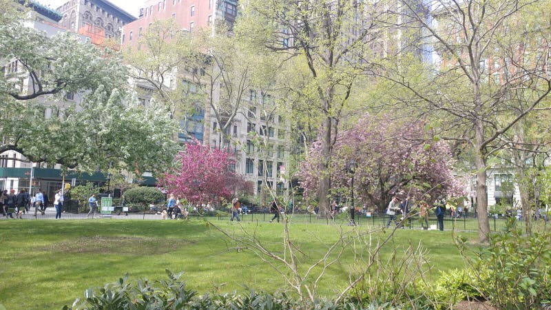 Madison Square Park in New York Editorial Image - Image of square, york ...