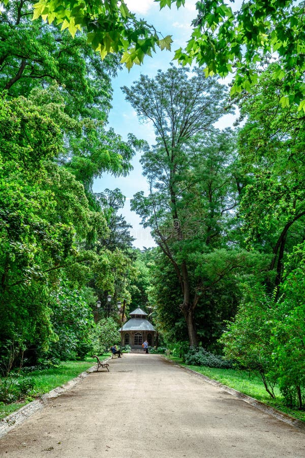 Madrid June 2023. Campo Del Moro Gardens Editorial Photo - Image of ...