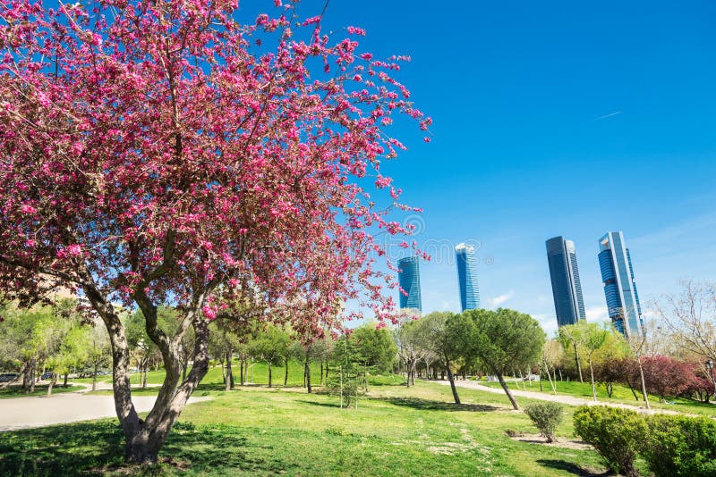 Madrid Cityscape and Aerial View Editorial Photography - Image of ...
