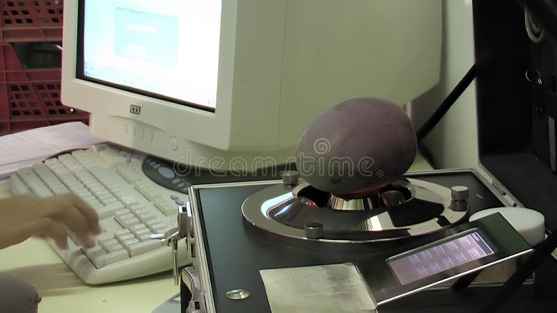 Quality Test in Mango Fruit with a Industrial Machine by Rays Stock ...