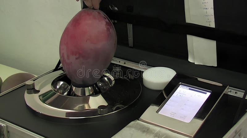 Quality Test in Mango with a Industrial Machine by Rays Stock Footage ...