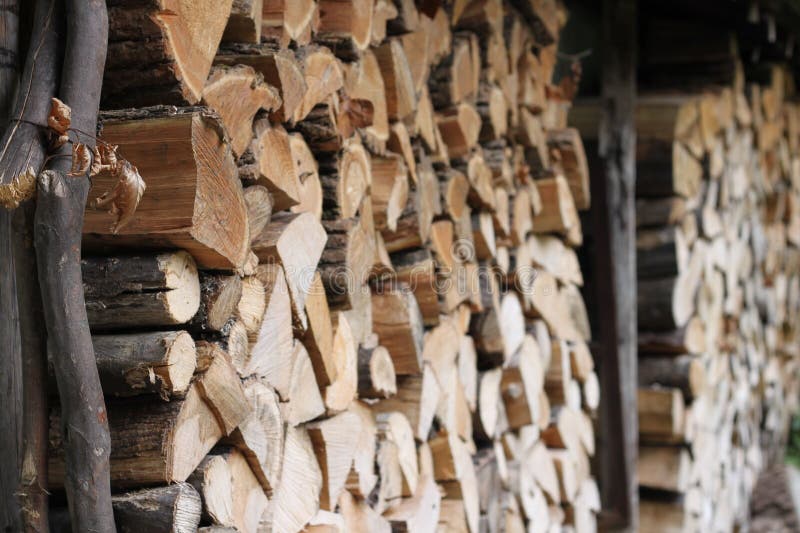 Mage of a Wood Stack Filled with Logs of Various Sizes Stock Photo ...