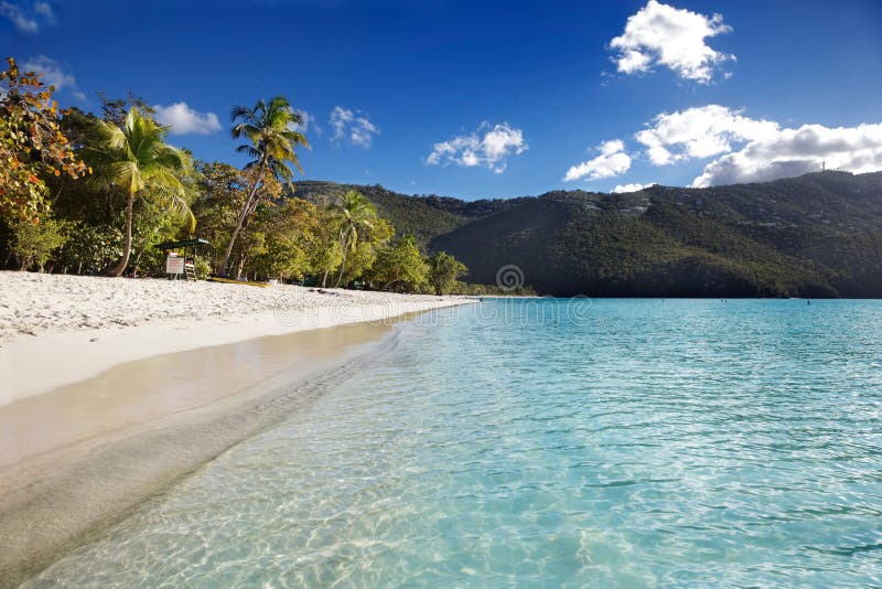 Trunk bay caribbean stock image. Image of land, jungle - 12059069