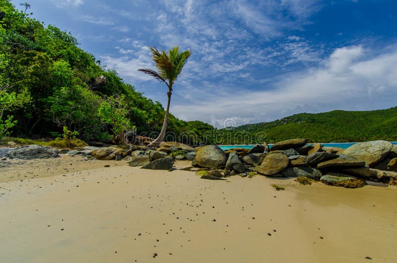 Magens bay stock image. Image of nature, palm, beach - 46819791