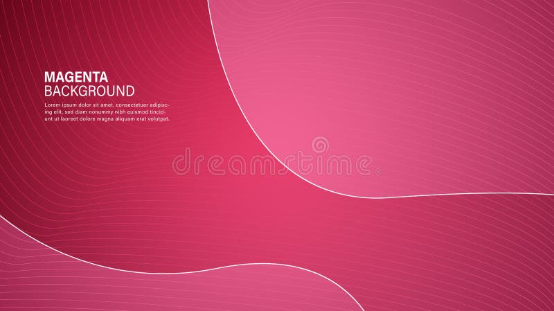 Magenta Gradient Background with Lines for Banner, Texture. Stock ...