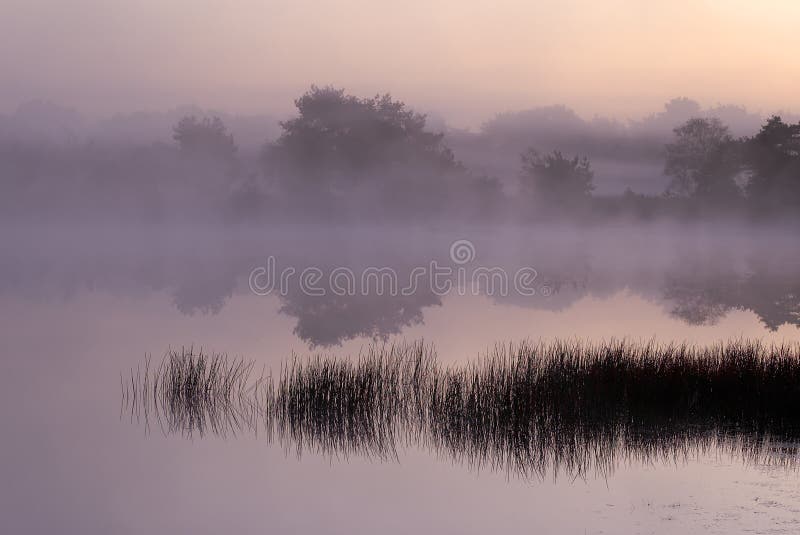 Magenta Sunrise With Fog Over Pond Picture. Image: 6228022