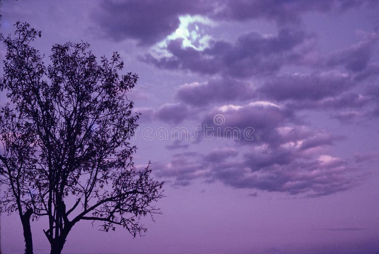Magenta sunset with clouds stock photo. Image of amazing - 9731066