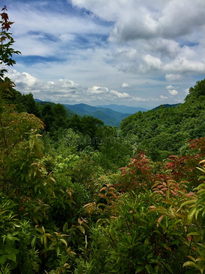 A Short Hike Leads To an Overlook in Maggie Valley NC on a Sunny Summer ...