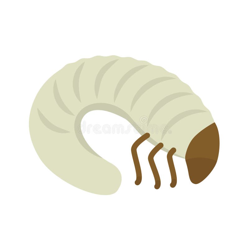 Maggot Stock Illustrations – 1,288 Maggot Stock Illustrations, Vectors ...