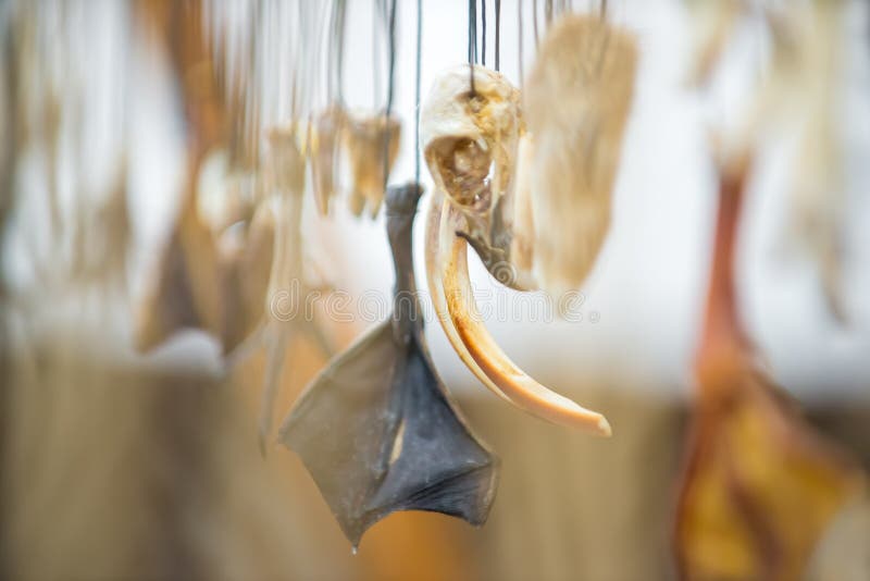 Magic Amulets from Teeth of Animals Hang on Laces on the Stand at the ...