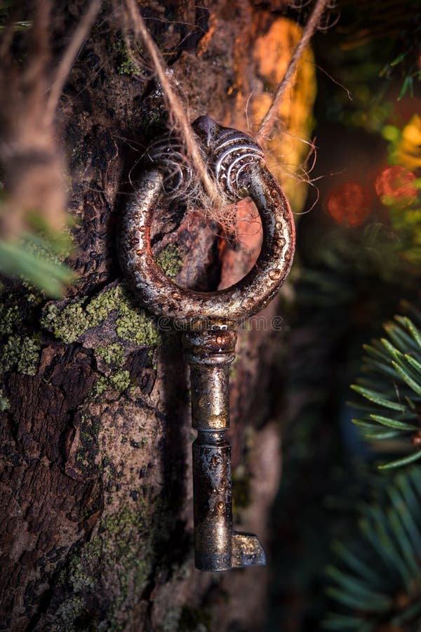Magic Ancient Key in the Dark Mysterious Forest Stock Image - Image of ...