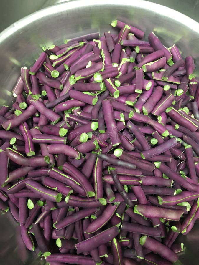 Magic Beans stock image. Image of garden, beans, organic - 163662671