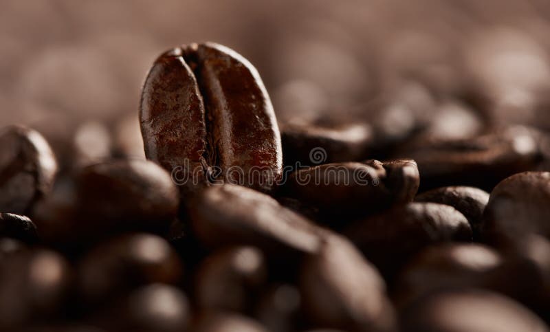 Magic Beans are Real - Its Called Coffee. Closeup Shot of Coffee Beans ...