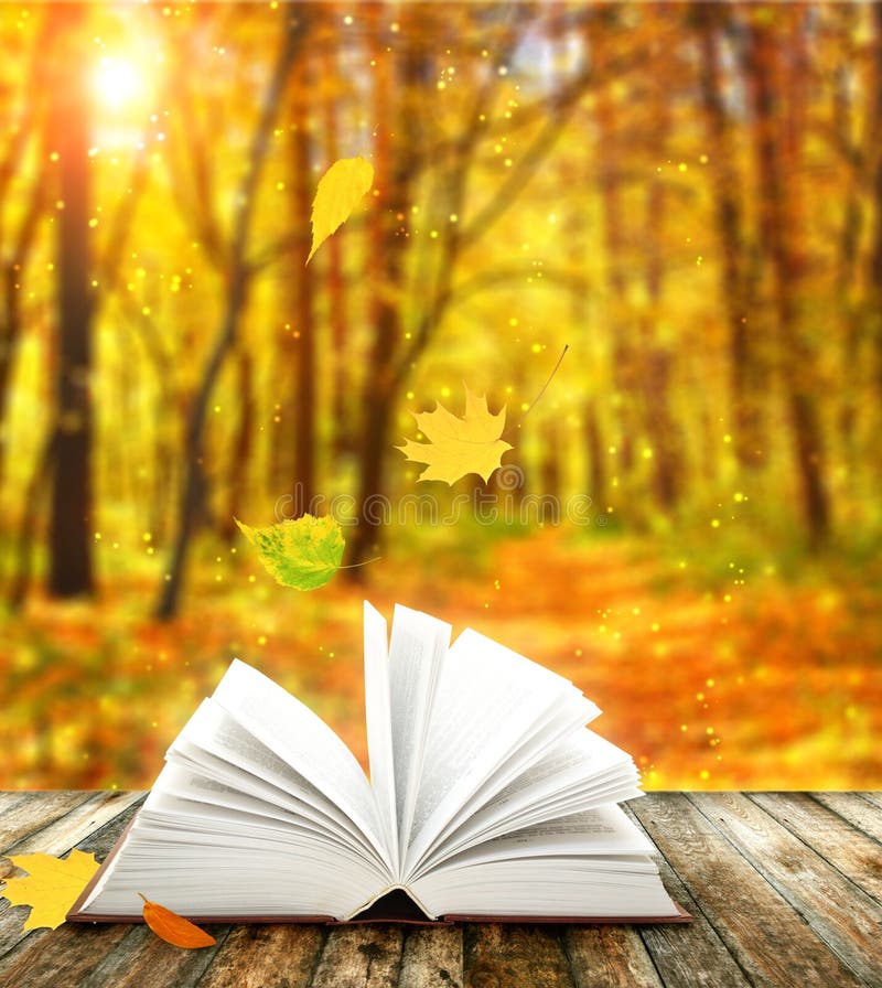 Concept of an Open Magic Book; Open Pages with Ocean and Land and Small ...