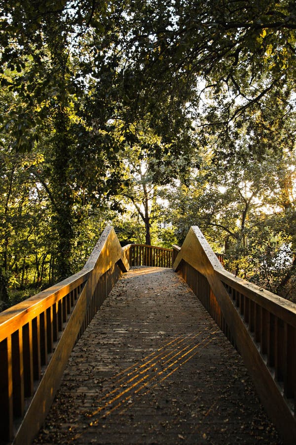 The bridge to the magic stock photo. Image of landscape - 123511474