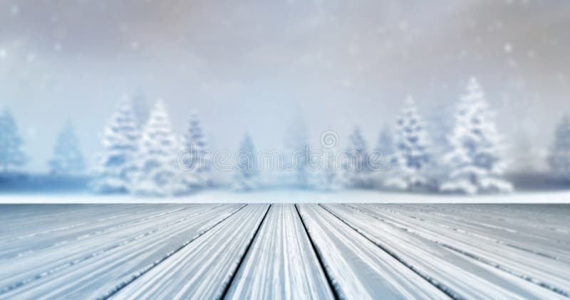Magic Calm Winter Forest with Wooden Deck Front at Daylight Stock Image ...