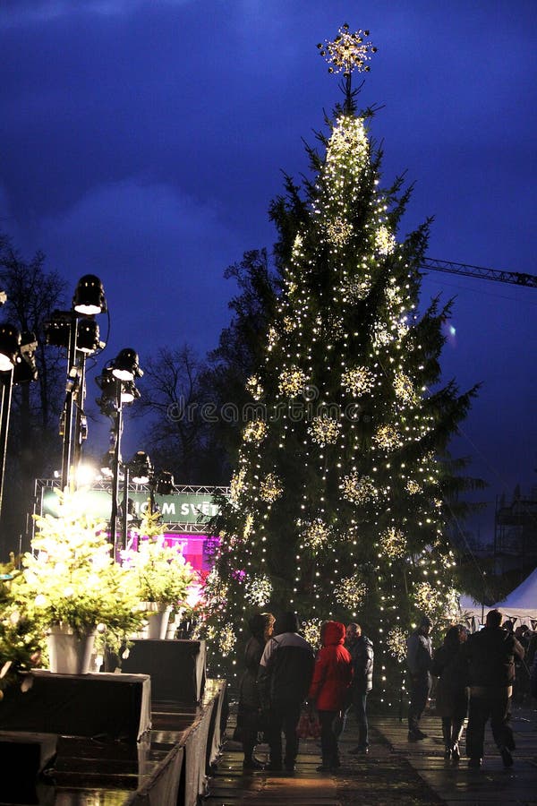 Magic Christmas tree editorial stock image. Image of color - 81598714