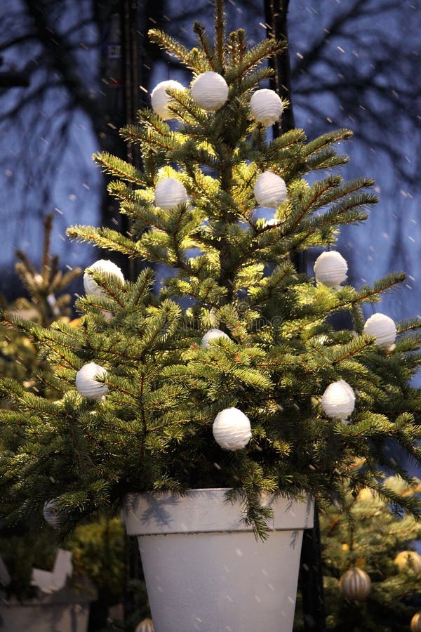 Magic Christmas tree stock photo. Image of decorate, closeup - 81601634