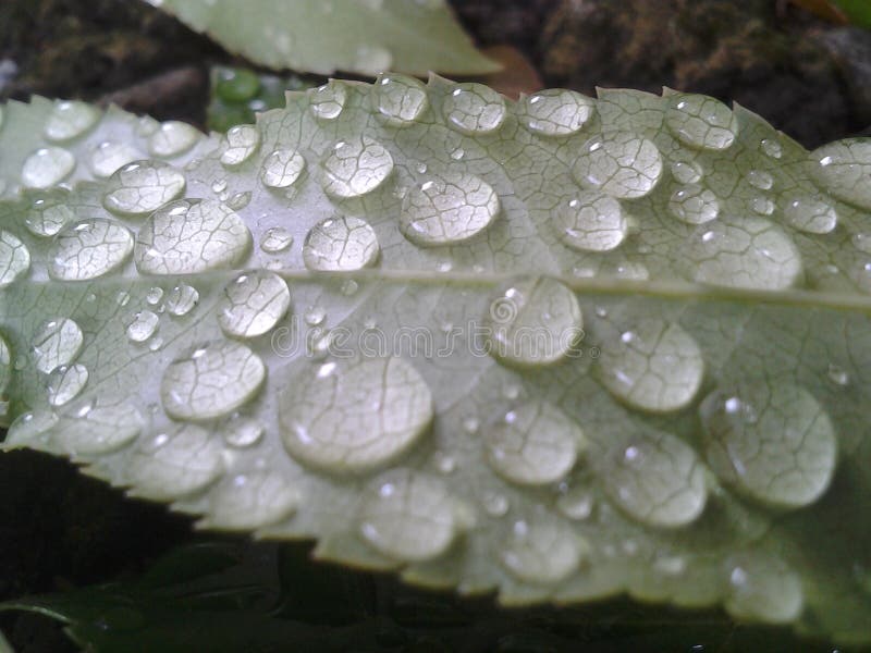 The magic drops stock photo. Image of water, drops, magic - 153353608