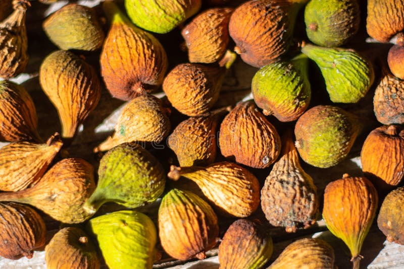 Dried Figs with Autumn Colors Stock Image - Image of dehli, efeso ...