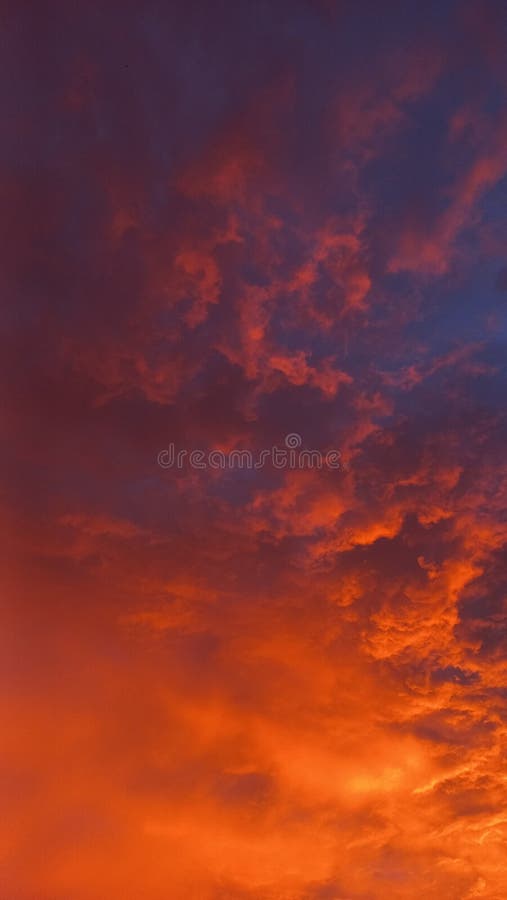 Magic Evening Dusk Sky Potrait Stock Image - Image of quail, potrait ...