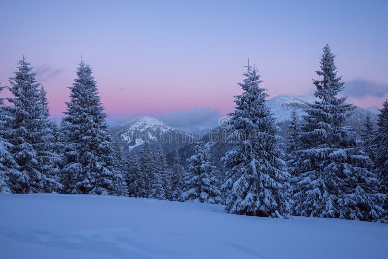 Magic Evening in the Winter Mountains after Snowfall Stock Image ...
