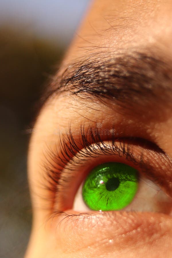 Magic eye close stock photo. Image of green, brown, eyelash - 267608990