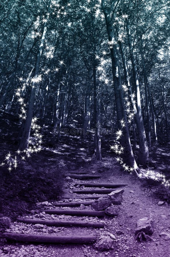 Magic fairy forest stock image. Image of stars, shadow - 44306031