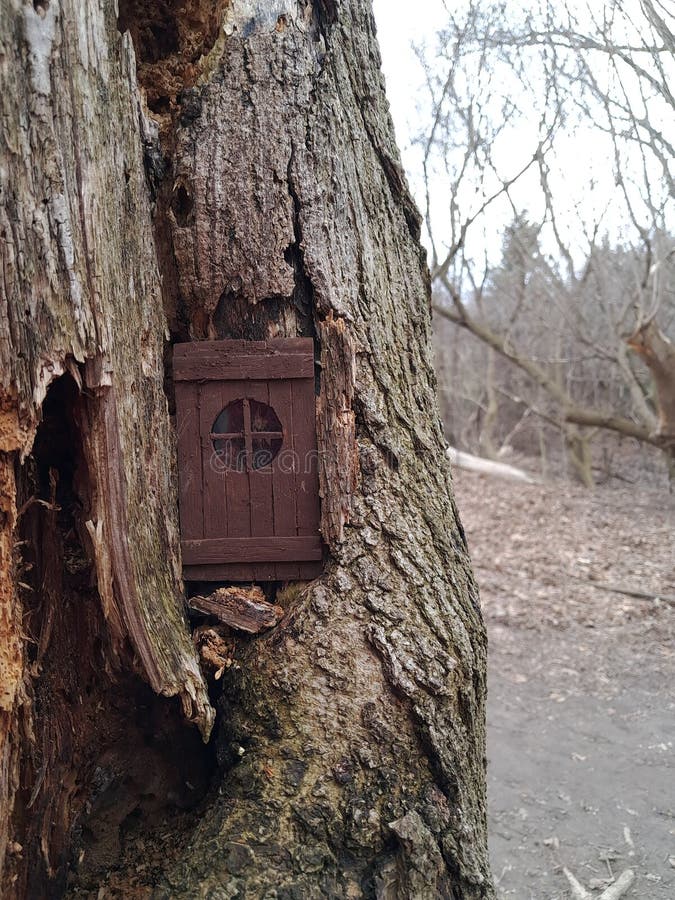 Magic Fairy House in a Tree in the Forest Stock Image - Image of trunk ...