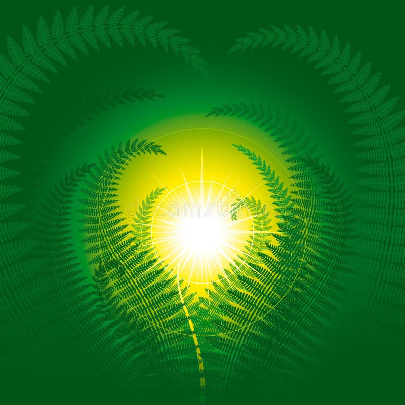 Magic fern stock vector. Illustration of frond, shine - 10305193