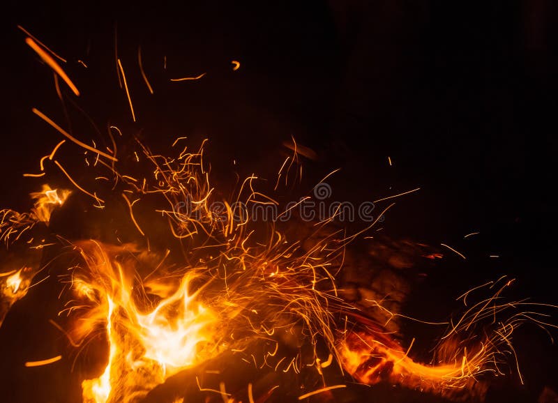 Magic fire stock photo. Image of highlights, beach, forest - 54230116