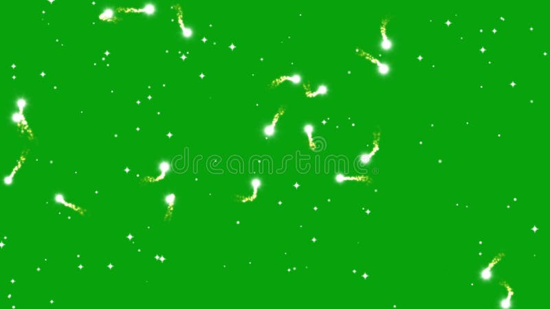 Magic Fireflies with Green Screen Background Stock Footage - Video of ...
