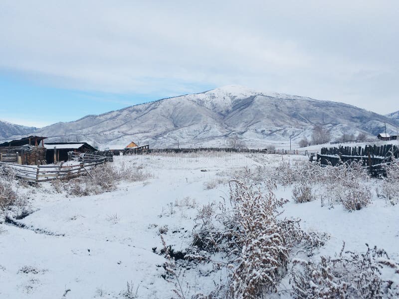 October First Snow in Altai Stock Image - Image of light, nature: 128891377
