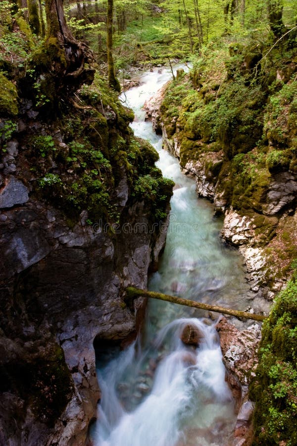 Magic forest stock photo. Image of landscape, bavaria - 5626222