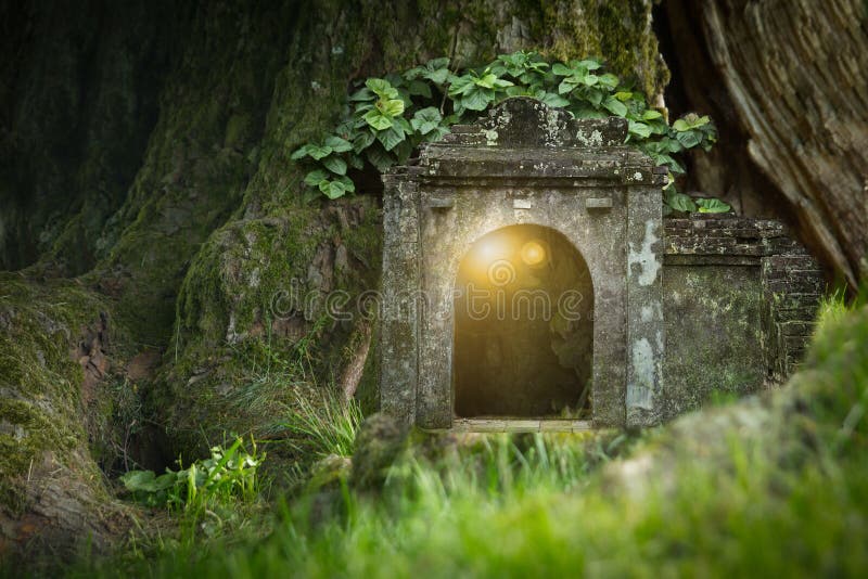 Magic forest house stock image. Image of lantern, creative - 116073049