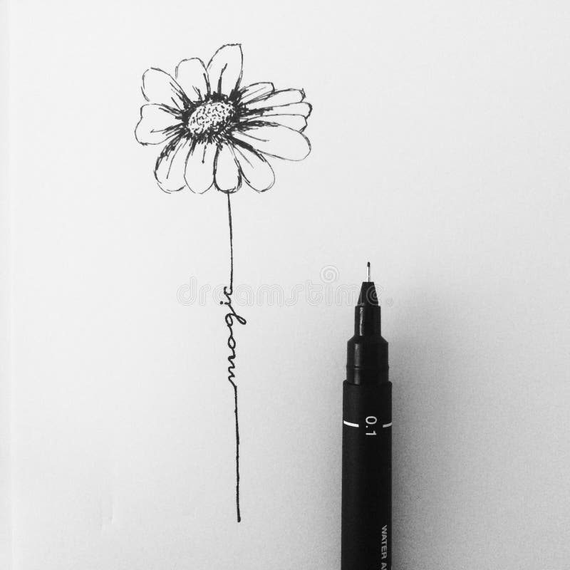 Magic stock photo. Image of draw, magic, black, daisy - 75085434