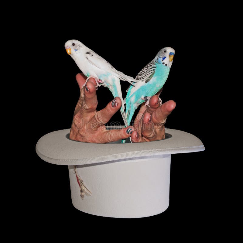 Magic hands stock image. Image of finger, hand, inside - 4272137