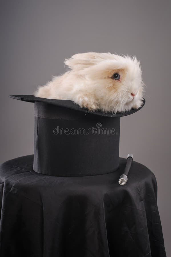 Magic Hat with Beautiful White Rabbit Stock Image - Image of rabbits ...