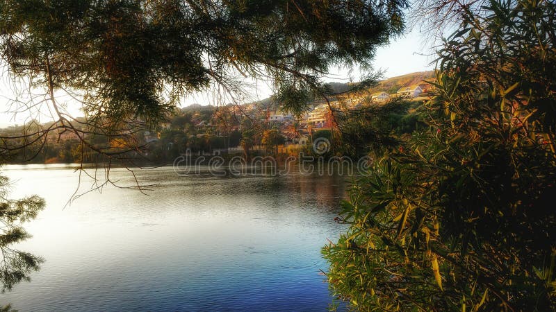 Magic lake stock image. Image of soft, lake, grass, landascape - 69232189