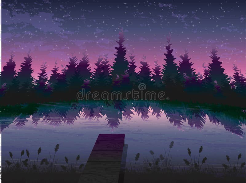 Magic Lake in the Forest Starry Sky Stock Illustration - Illustration ...