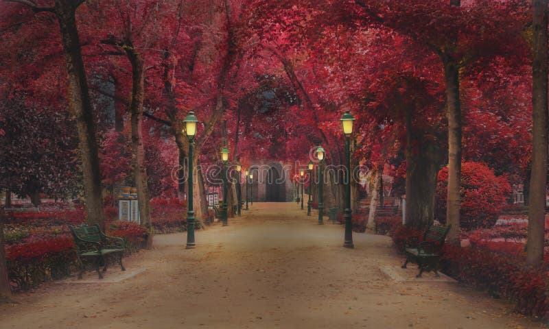 Magic Landscape with Red Trees Stock Photo - Image of natural, foliage ...